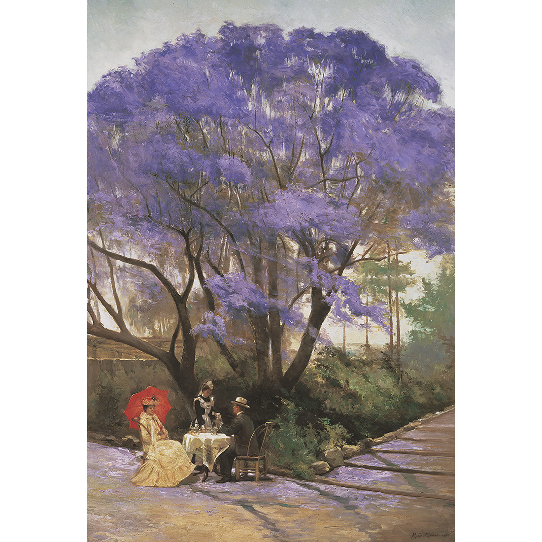 The First Jacaranda – Queensland Stories